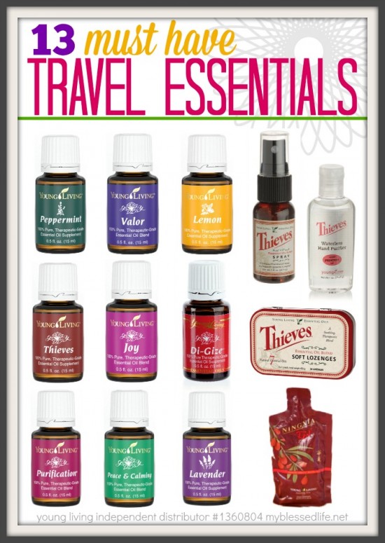 13 Must-Have Travel Essentials - My Blessed Life™